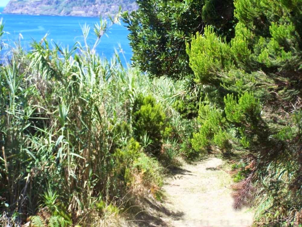 FLAVIUS ATLANTIKUS: Trilho da Praia da Amora - Ponta Garça (Vila Franca ...