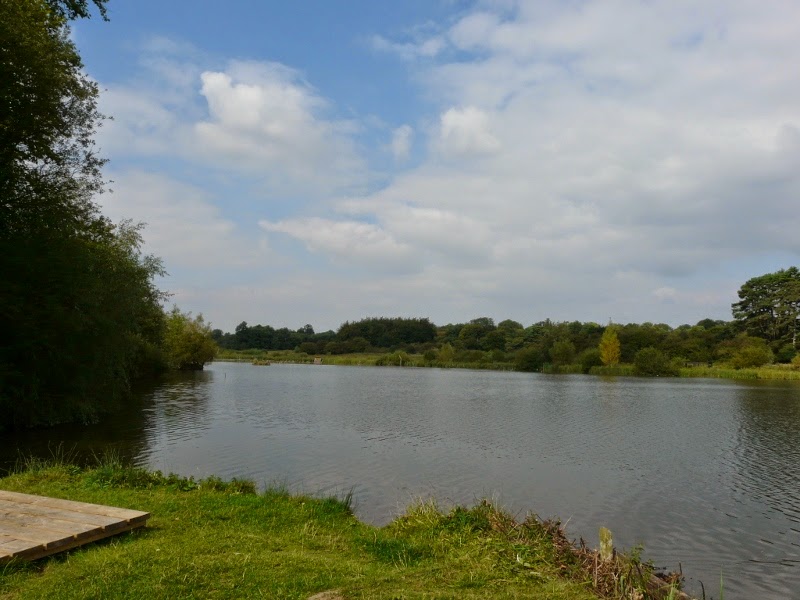 Cindy's Snaps: Hatfield Forest (stomping ground of my Hatfield Broad ...