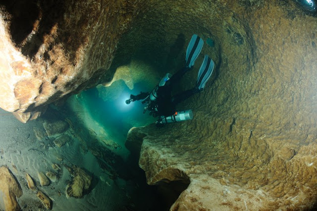States of Immersion - A Florida Cave Diving Adventure: Little River
