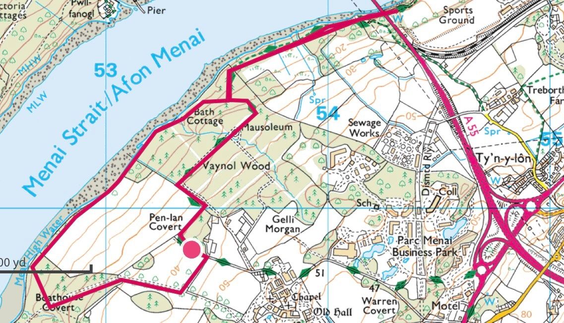 Stroll though coastal woodland between Vaynol Estate and Britannia Bridge
