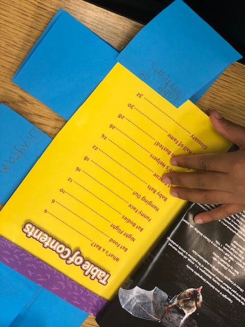 Primary Graffiti: Informational Writing