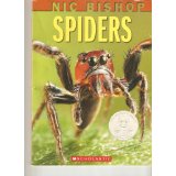 StorytimeLibrary: Spiders