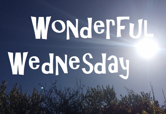 Wonderful Wednesday Images