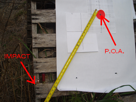 trophy-hunting: Shootgun Sabot Slug Review