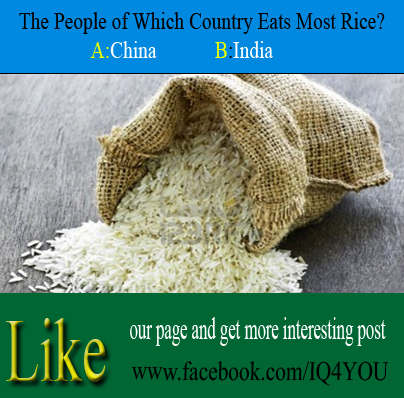The People of Which Country Eats most Rice? - Intelligence Question