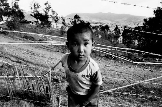 cogito solvo creo: Groucho Marxist - wire fence study