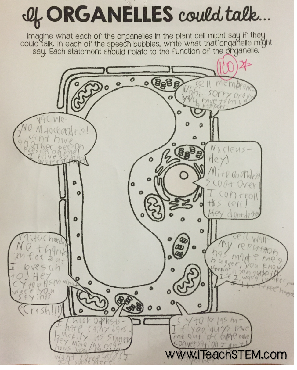 The Elementary Entourage: Sensational Science {with iTeachSTEM}