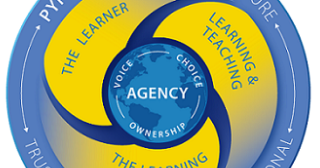 PYP Happenings: PYP Enhancements