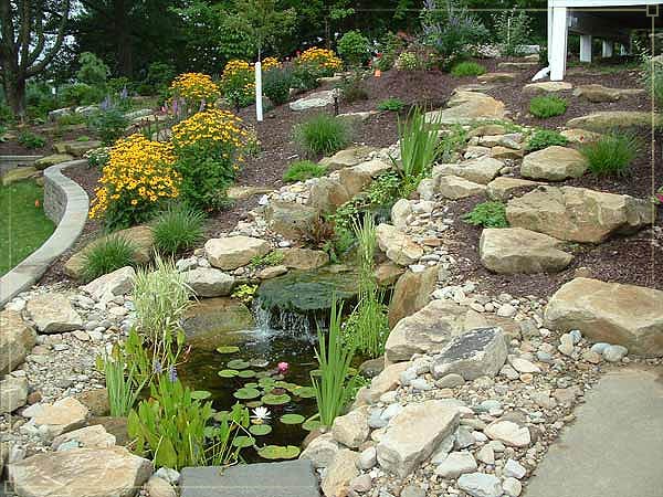 Garden Waterscape Exterior Design