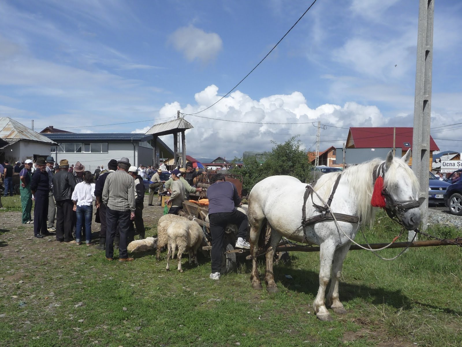 Travels in Maramures: People of Maramures and market day