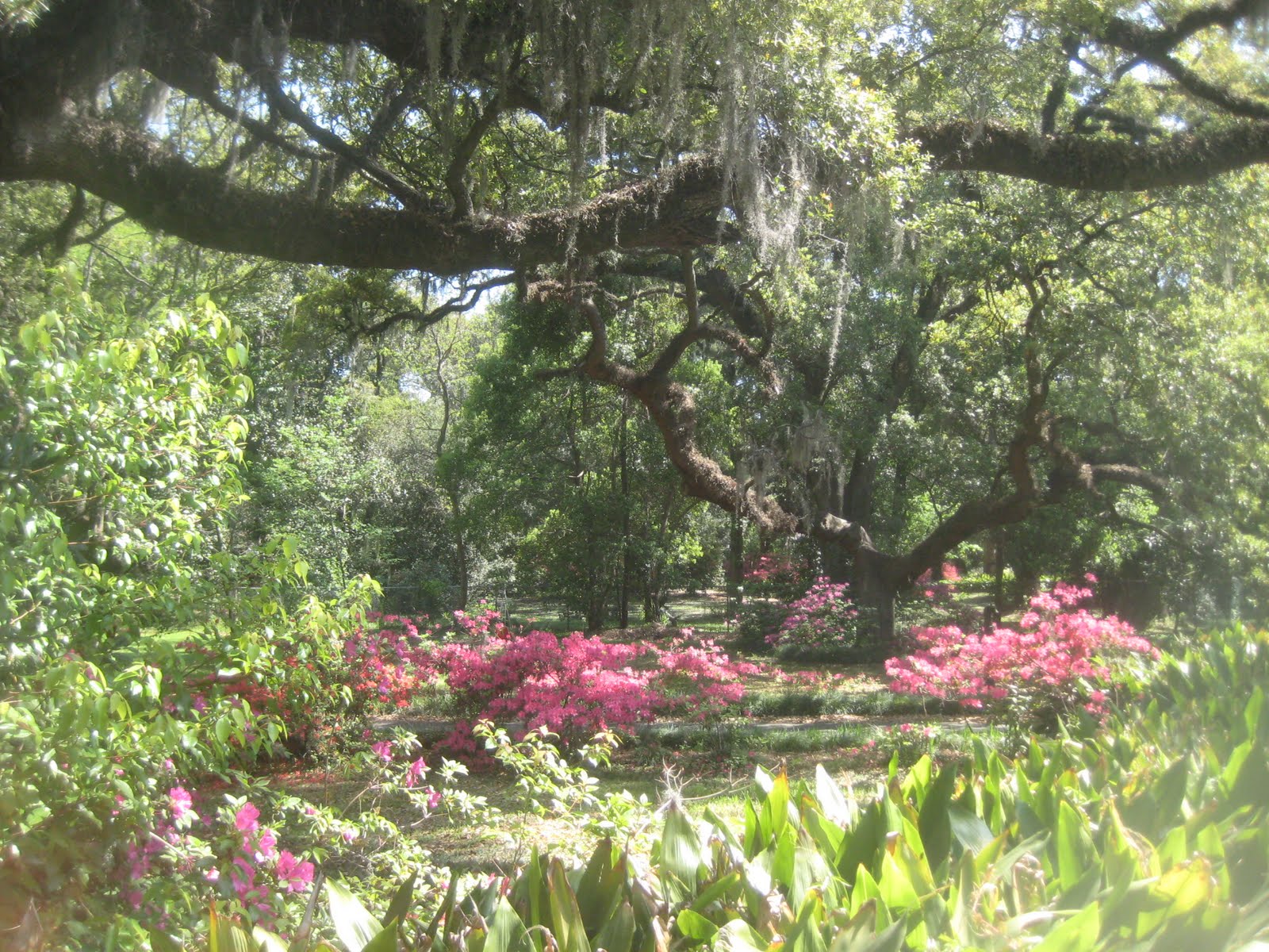Southern Folk Artist & Antiques Dealer/Collector: A Spring walk along ...