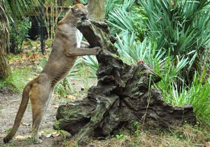 inkspired musings: Let's play with our food today!