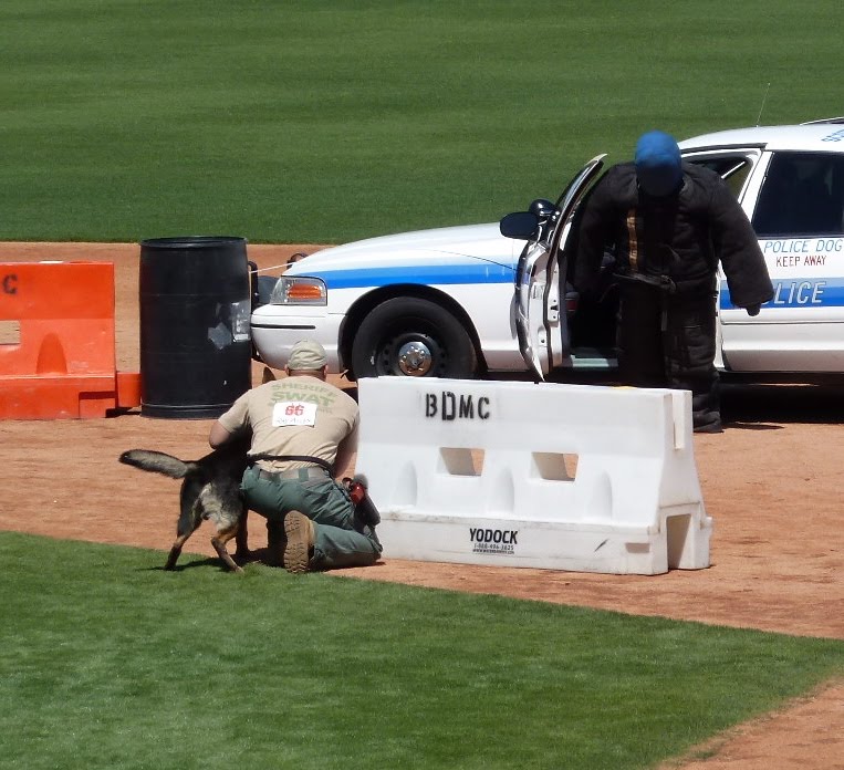 Hundewanderer.com: 2011 Desert Dog Police K-9 Trials