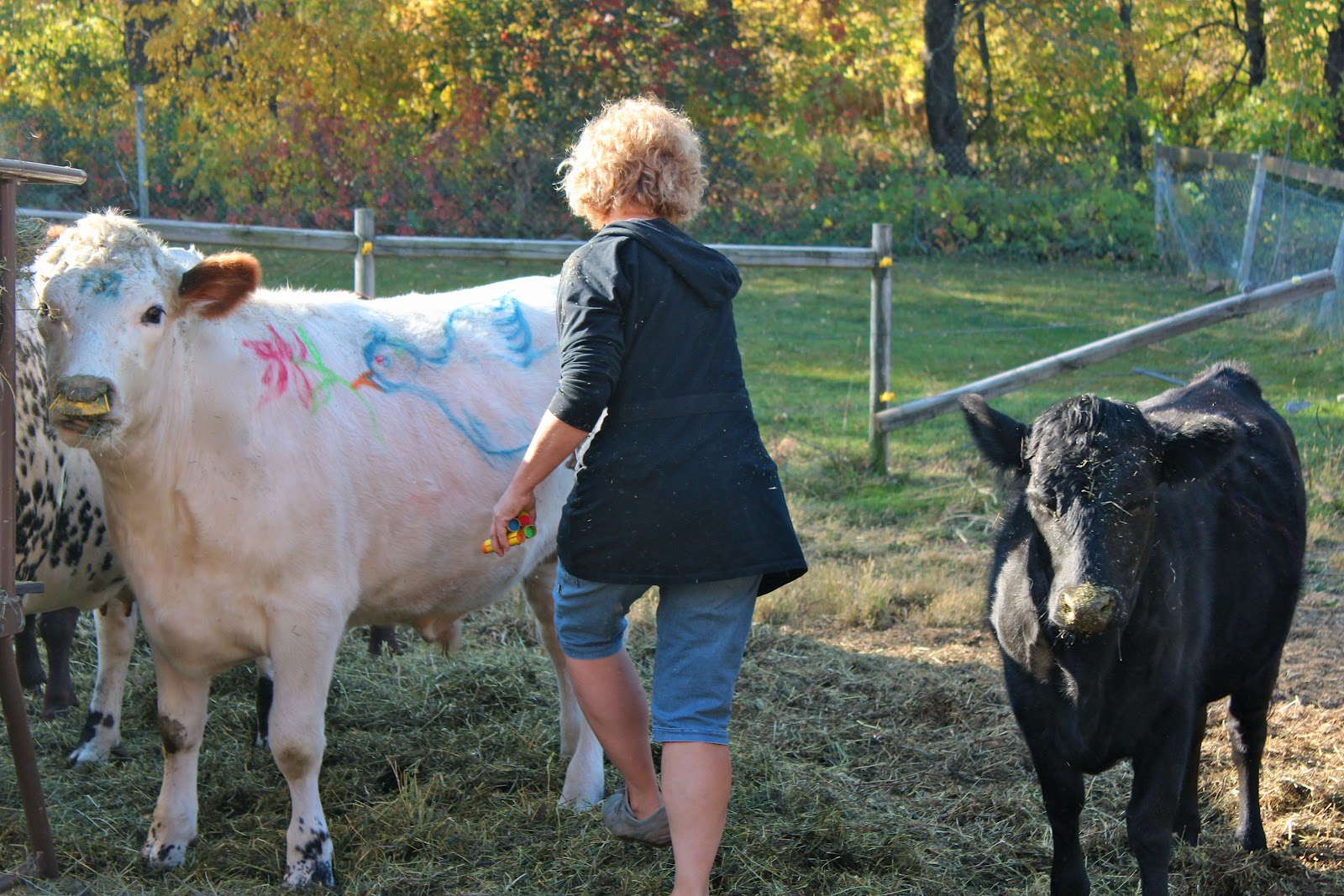 Squash Blossom Farm: The Great Puja Post