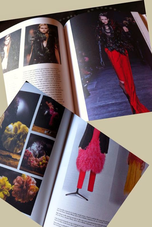 Five days of feathers - 4. The book by Lannoo