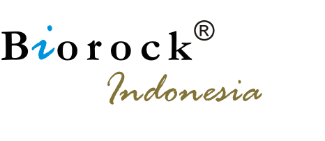 Blog Archives - lodgeeasysite