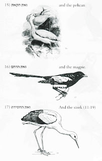 Wildbirds Broadcasting: Birds of a Religious Text Described