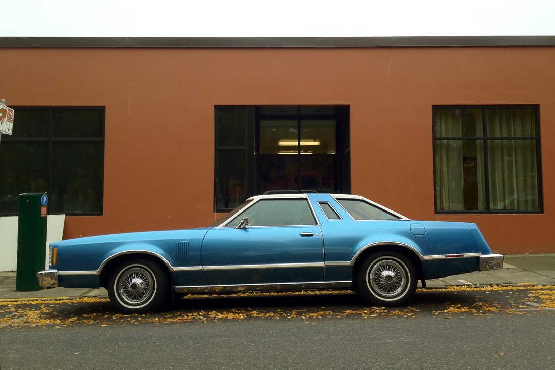 OLD PARKED CARS.: 1978 Ford Thunderbird.