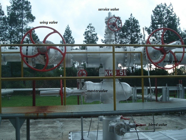 Cerita Geothermal: Fasilitas Lapangan Uap Pada Pembangkit Listrik ...