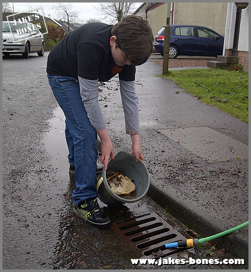 The bones that took two-and-a-half years to clean : Jake's Bones