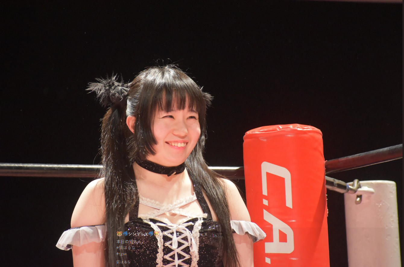 ProWresBlog: Tokyo Joshi Pro Wrestling ~Ready Set, Go~ 4/13/2019