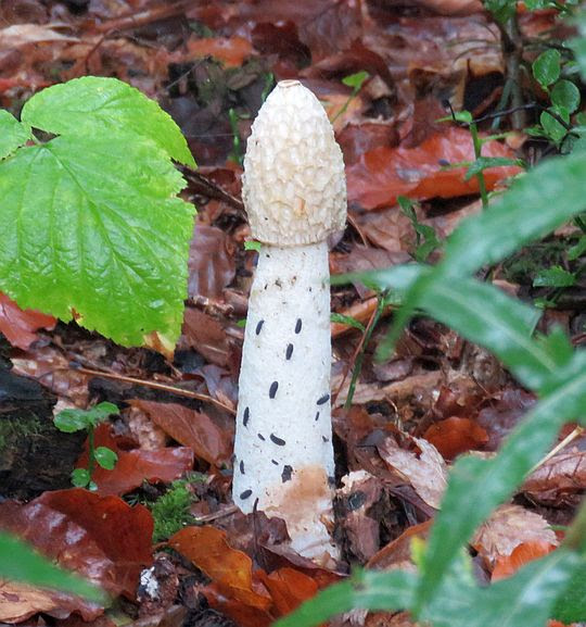 Zanim znów wyruszysz w góry - przewodnik na górskie wędrówki