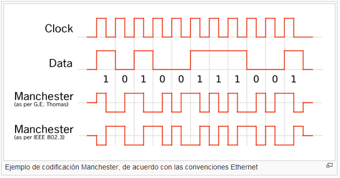 CODIFICACIÓN MANCHESTER | Estudio Popular