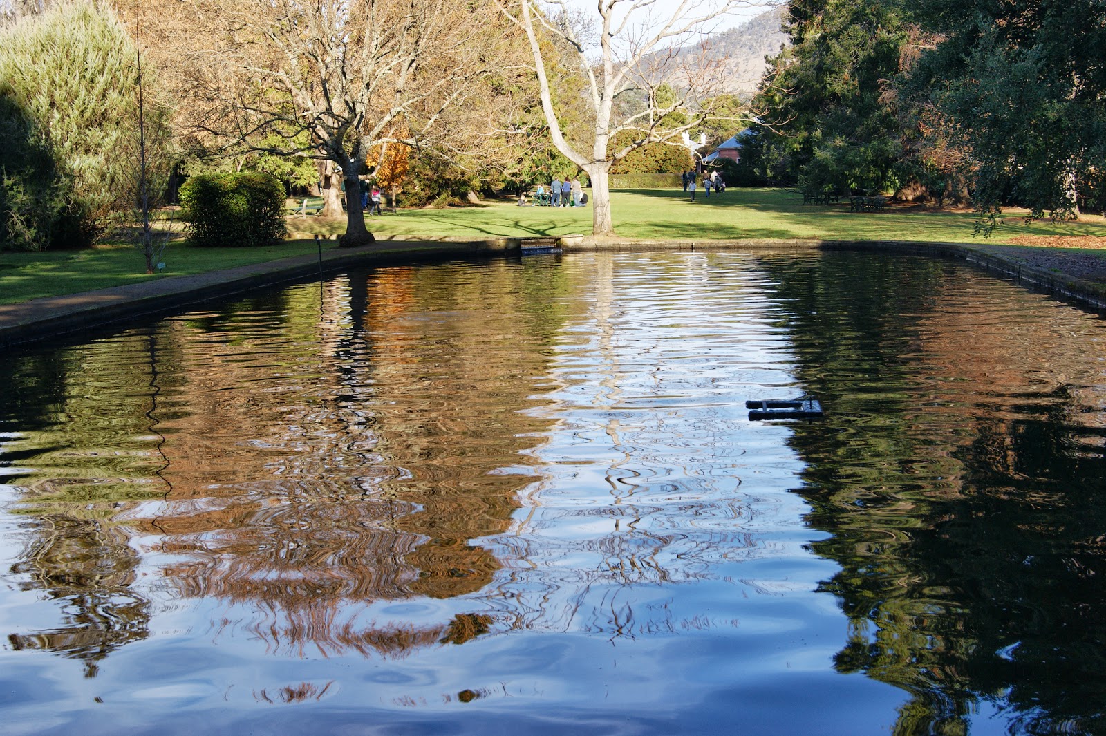 On The Convict Trail: The Salmon Ponds