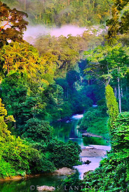 The Vast Amazon - Hayalci Gezgin - Seyahat Rehberi / Travel Guide