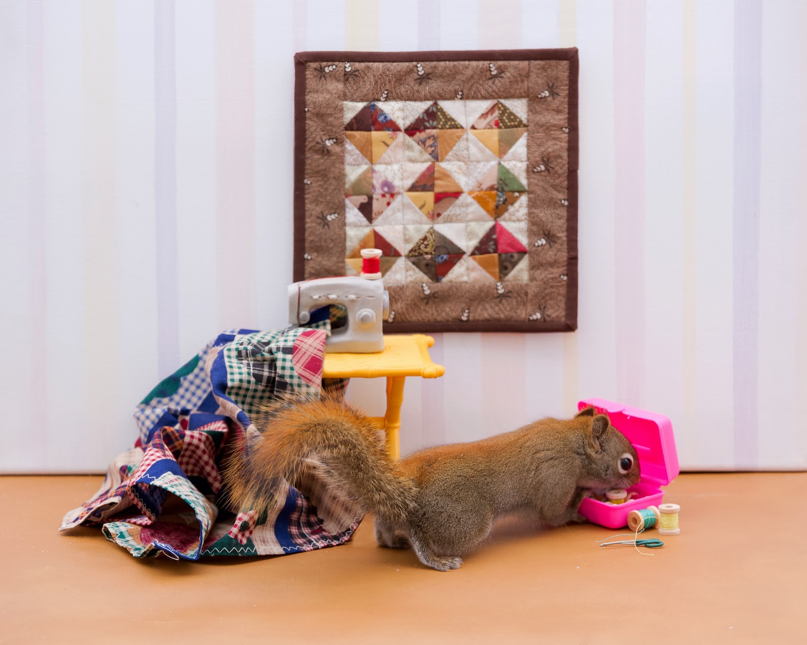 The Cozy Quilter: Squirrels and Quilt Blocks