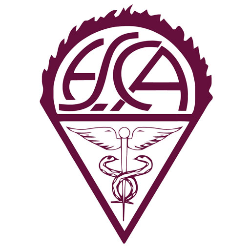 SECCIÓN DE RECURSOS