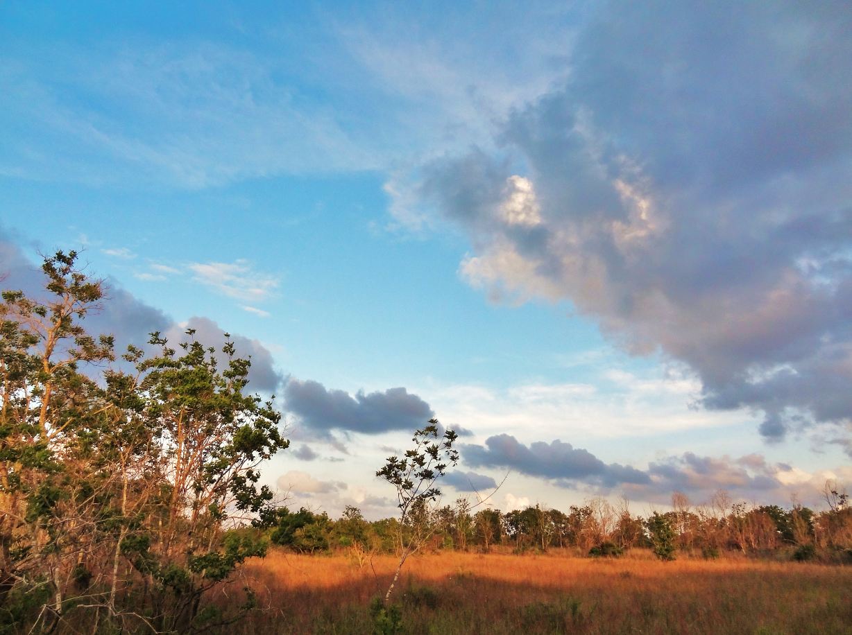 H-Town-West Photo Blog: Colorful nature in May