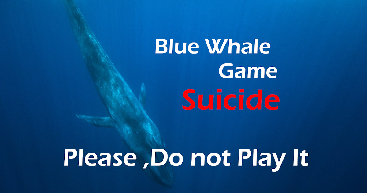 [ ATTENTION ]The ten stages of the game Blue Whale