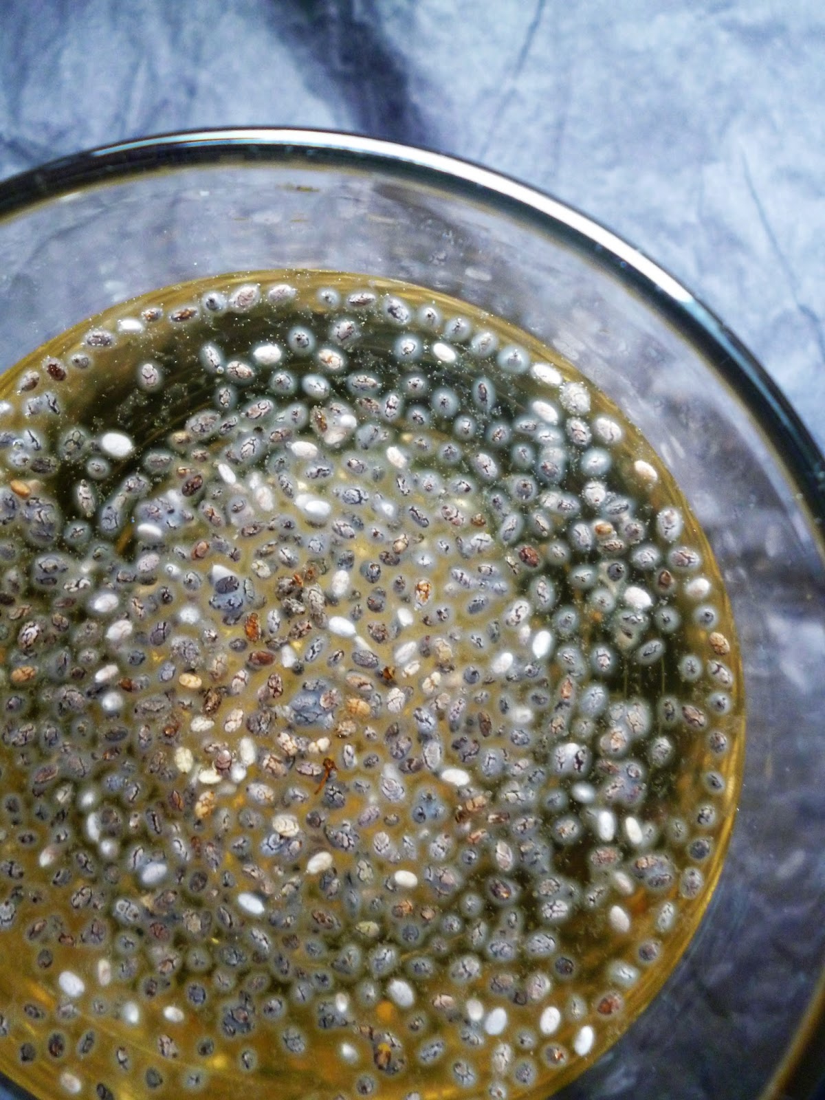 Podróże na języku: Iskiate - chia fresca