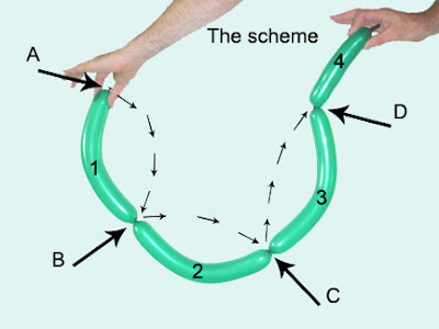 CLASSICAL: One balloon flower