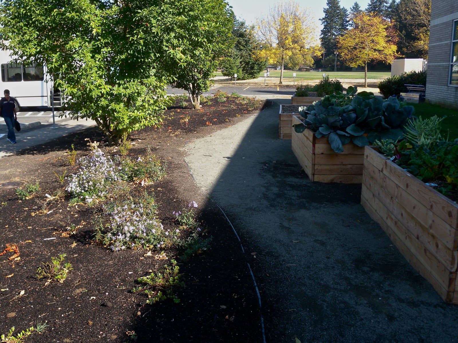 IRCO's Intergenerational Community Garden