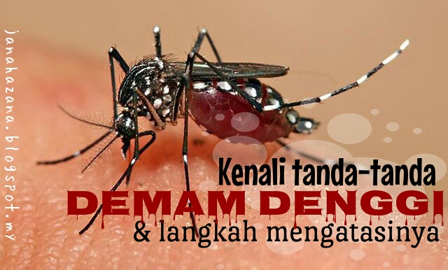 Tanda-tanda demam denggi dan langkah mengatasinya - Jana Hazana