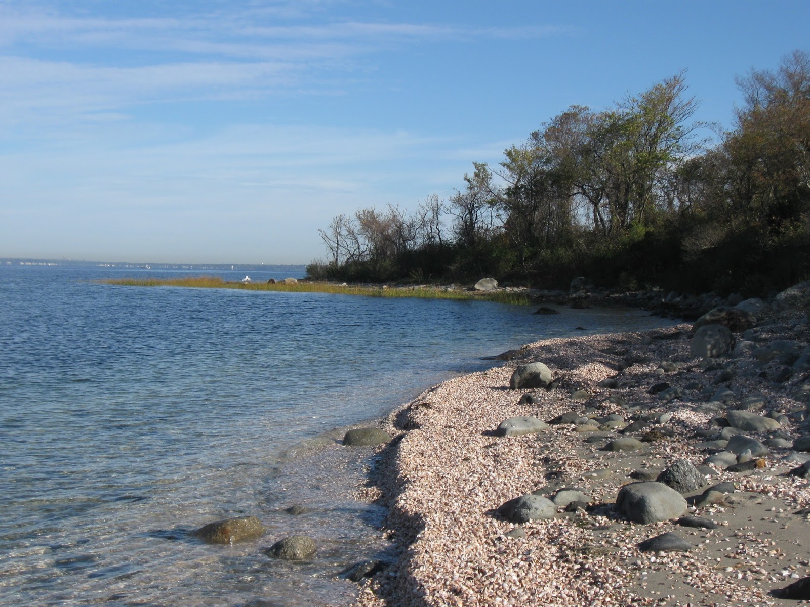 Trashpaddler: Patience, Prudence, and Potowomut