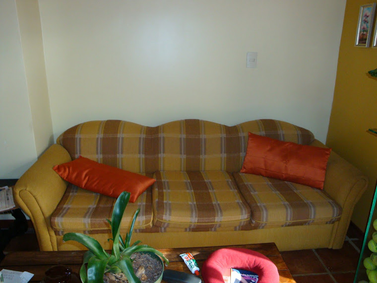 MUEBLES USADOS 2011: Juego de Sofa Color amarillo Ocre.