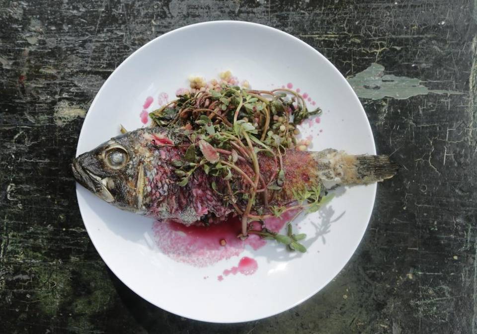 The Rural Blog: How about some Asian carp for dinner?