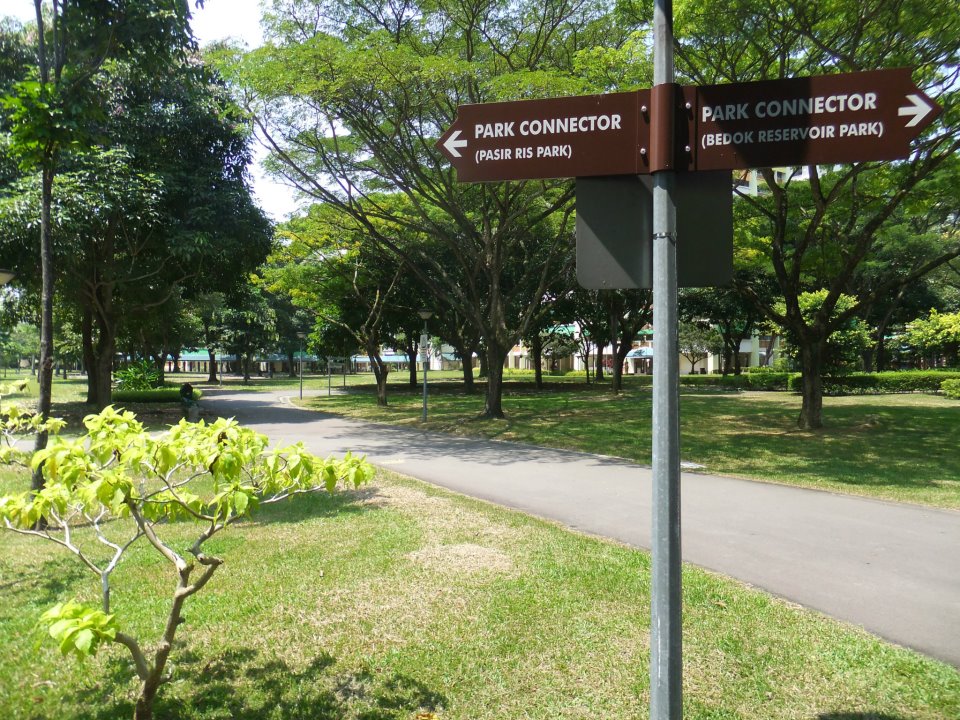 haPpY HaPpY: First Experience Cycling in Singapore - PCN