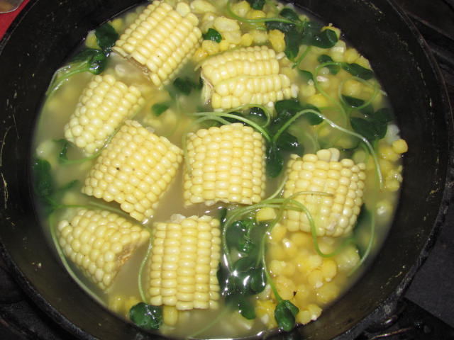 Rogue Dutch Oven Cookers: Hazruquive (hominy, bean sprout, and corncob ...