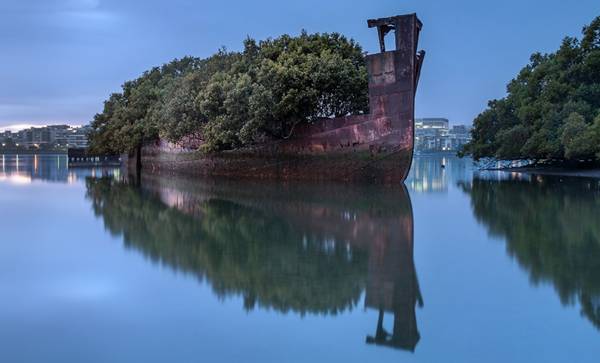 Mail2Day: Amazing Floating Forest in Sydney (8 pics)