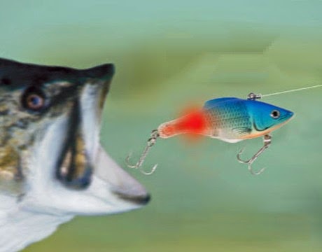 11 Cara Membuat Umpan Buatan untuk Memancing