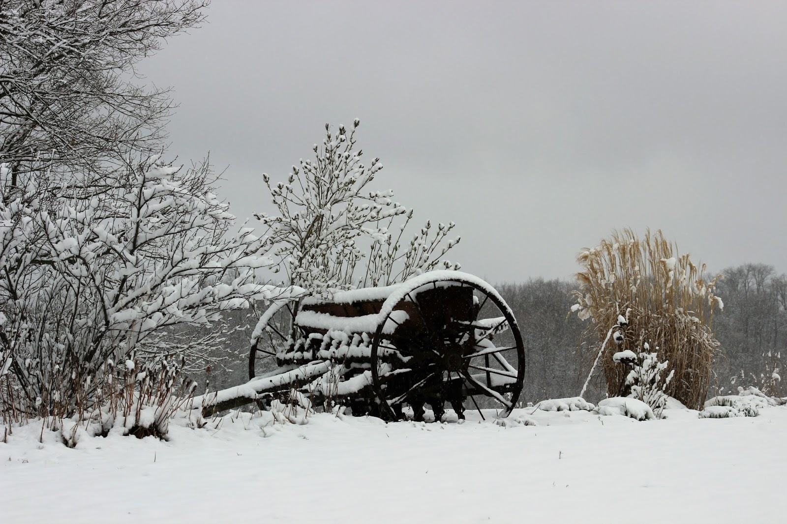 Tymes Past : Where did Spring go???