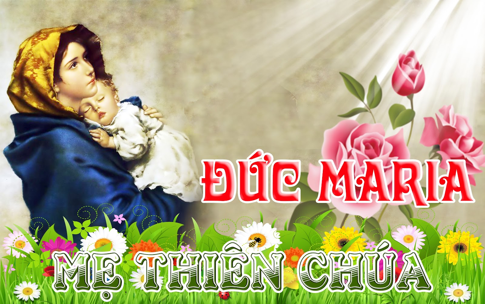 Bài giảng lễ Đức Maria Mẹ Thiên Chúa