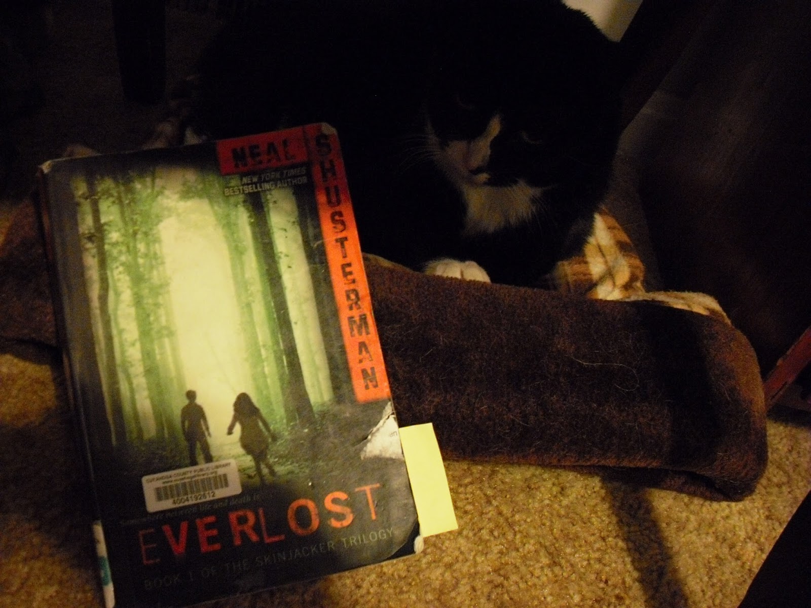 Grab A Book From Our Stack: "Everlost" by Neal Shusterman (Book 1 of ...