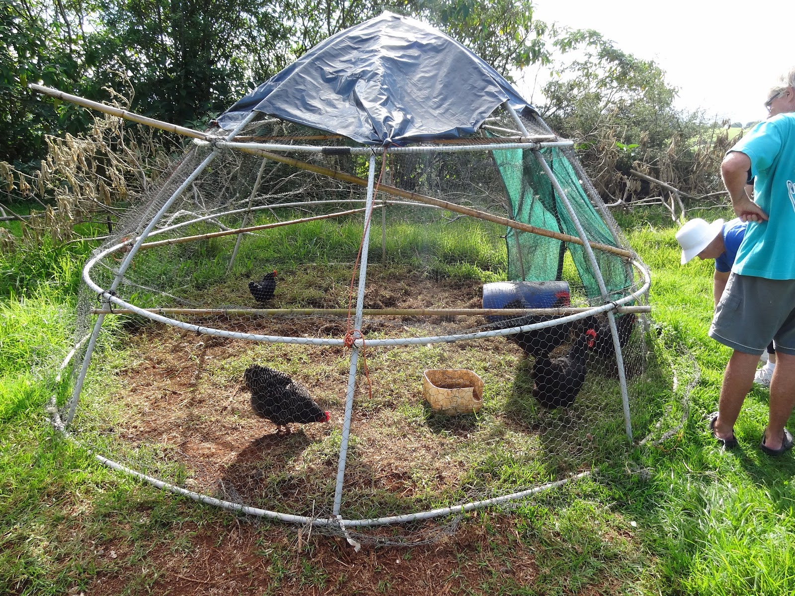 Bellingen Seed Savers: Bellingen Seedsavers visit Jodie and Michael on ...