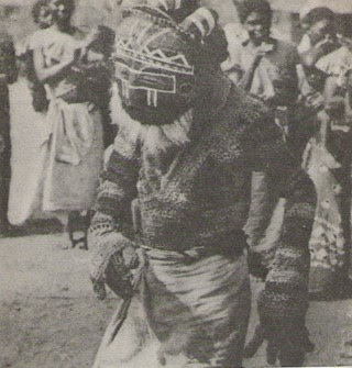 LIVRO FLORESTA DE SÍMBOLOS: Aspectos do Ritual Ndembu