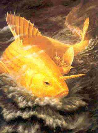 HareKrishnaHareRama: Macha Avatar